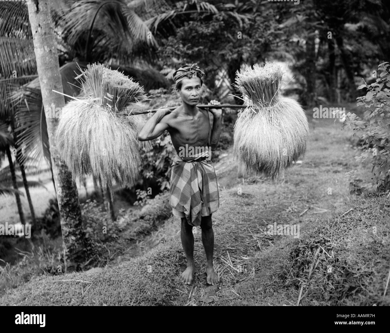 Man with yoke Black and White Stock Photos & Images - Alamy