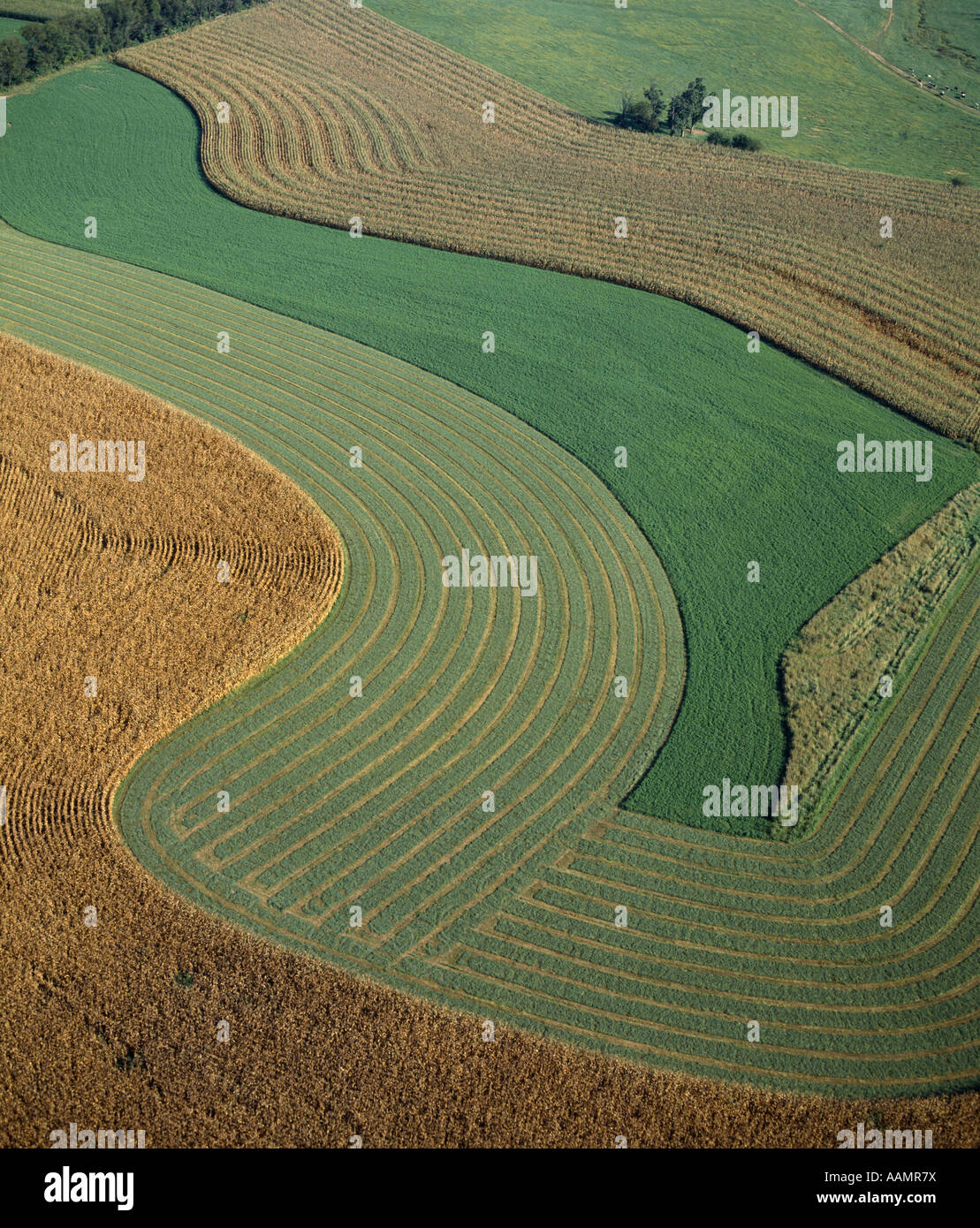 Swath of plants hi-res stock photography and images - Alamy