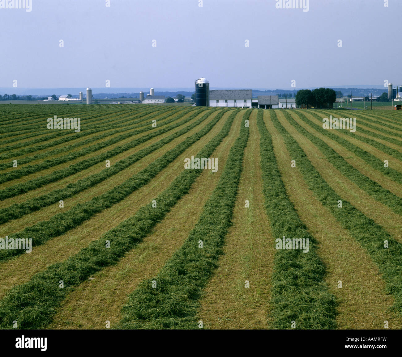 Swathed fields hi-res stock photography and images - Alamy