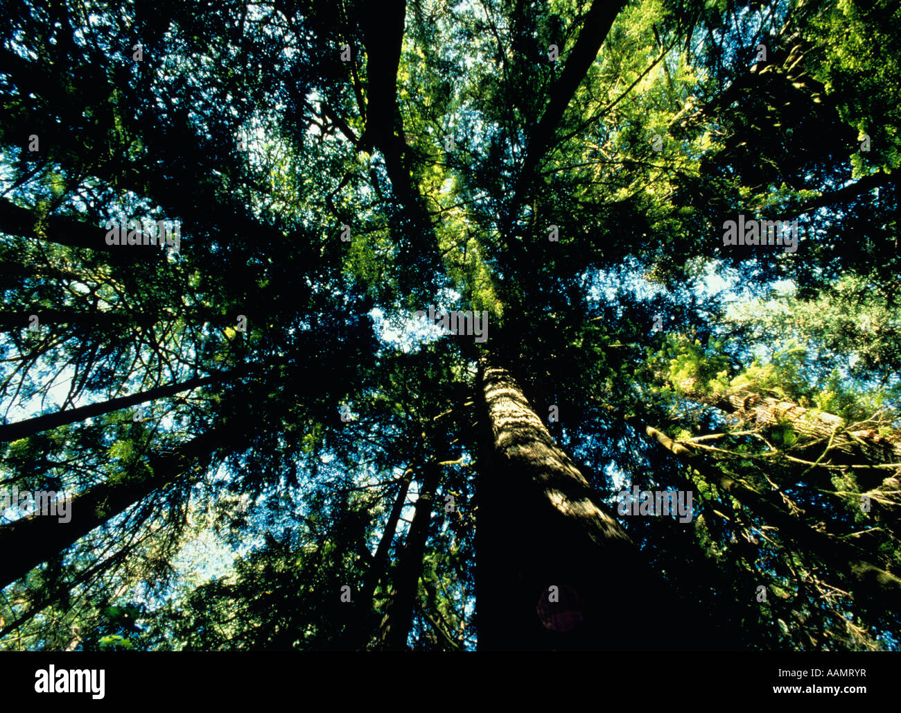 Cam001 hi-res stock photography and images - Alamy