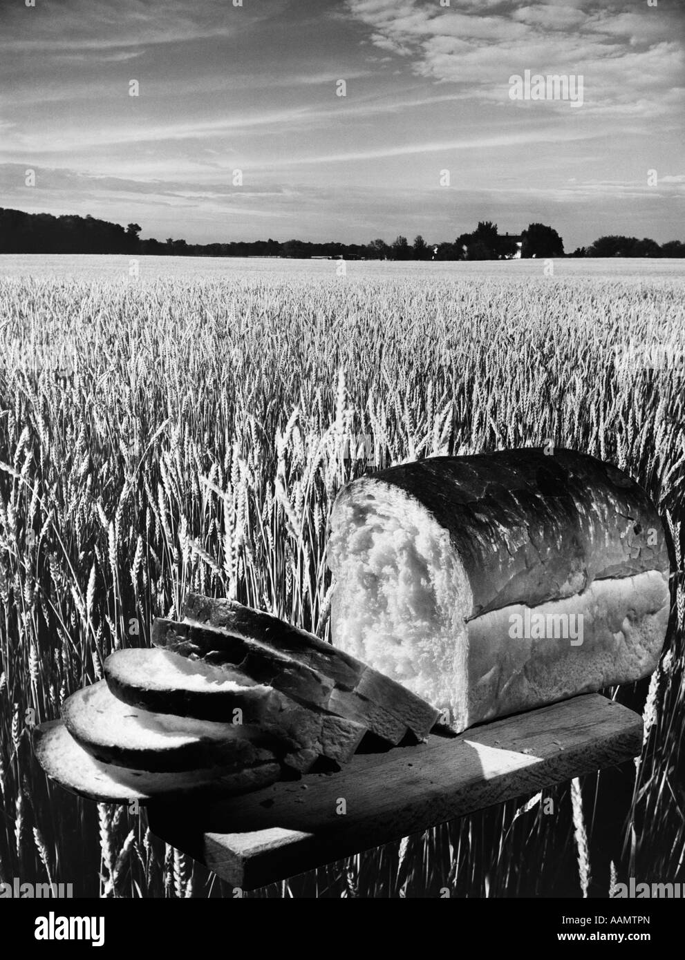 Cut bread on white Black and White Stock Photos & Images - Alamy