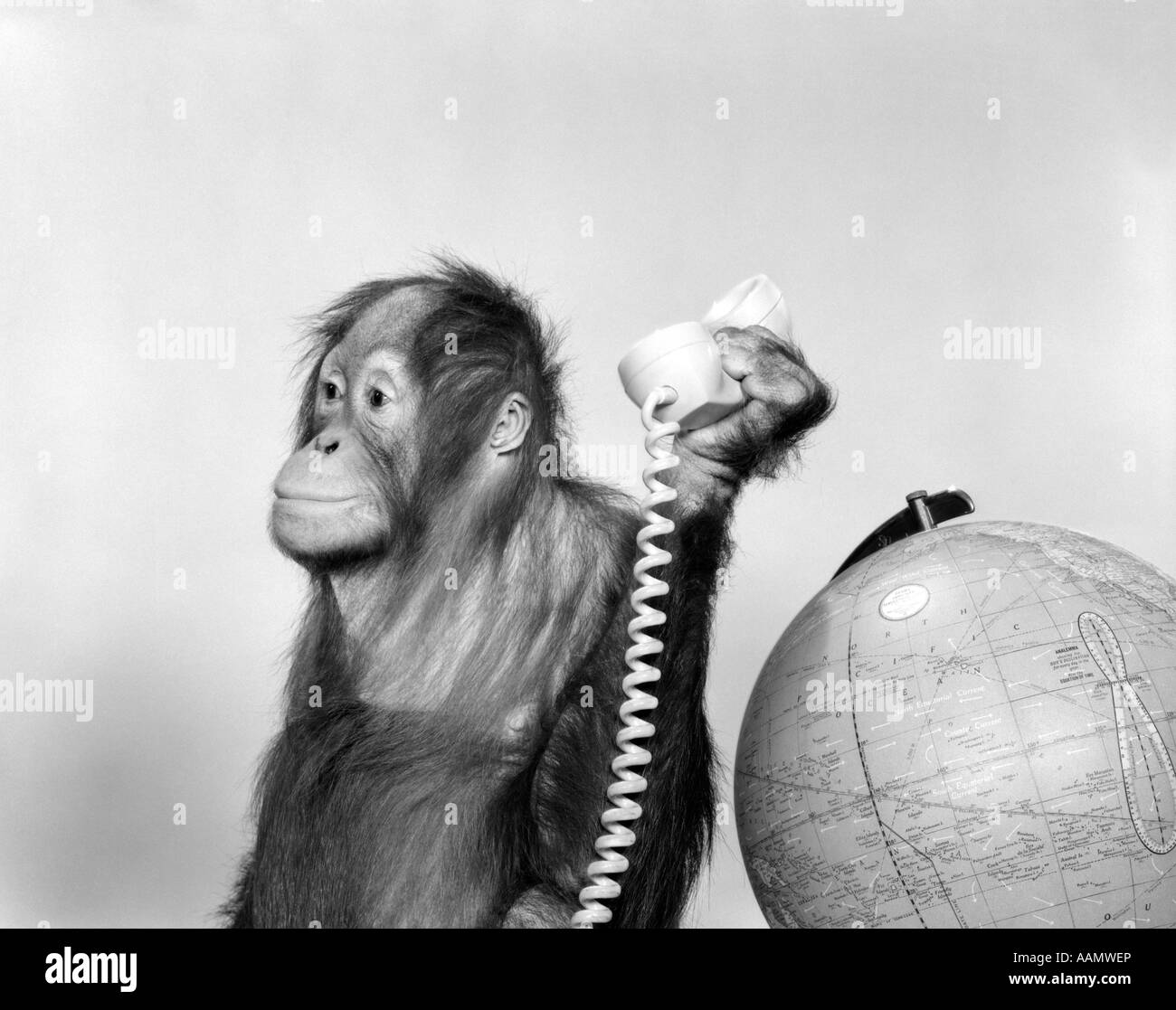 Hands next Black and White Stock Photos & Images - Alamy