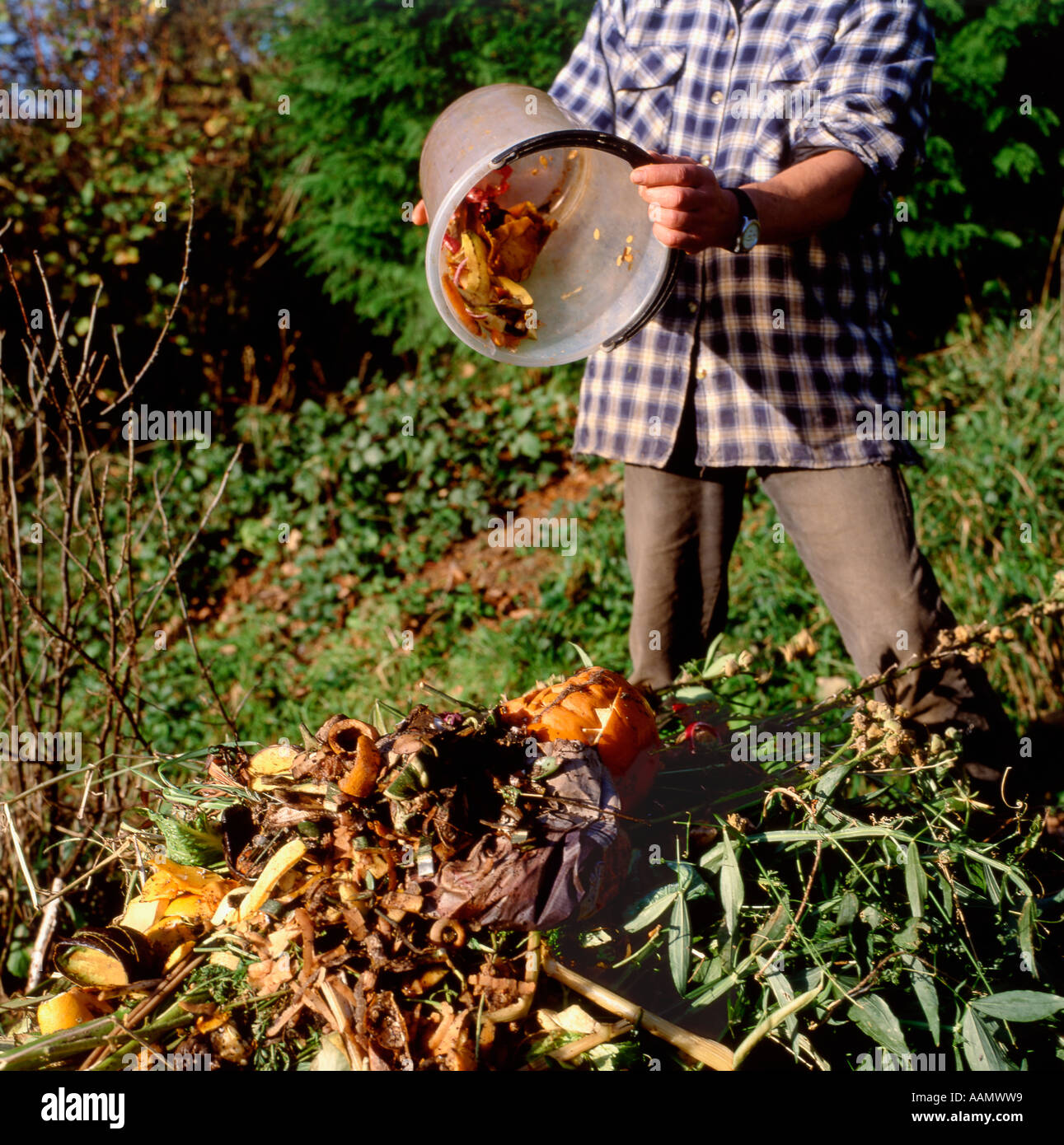A man tipping a bucket of vegetable waste from his kitchen onto a ...