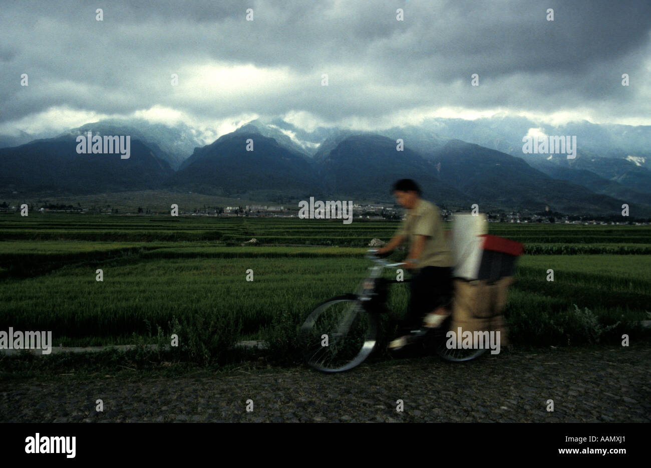 Man cycling through fields hi-res stock photography and images - Alamy