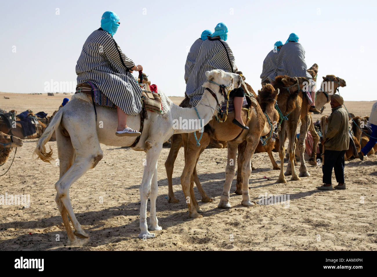 camel rides into the sahara desert at Douz Tunisia Stock Photo - Alamy