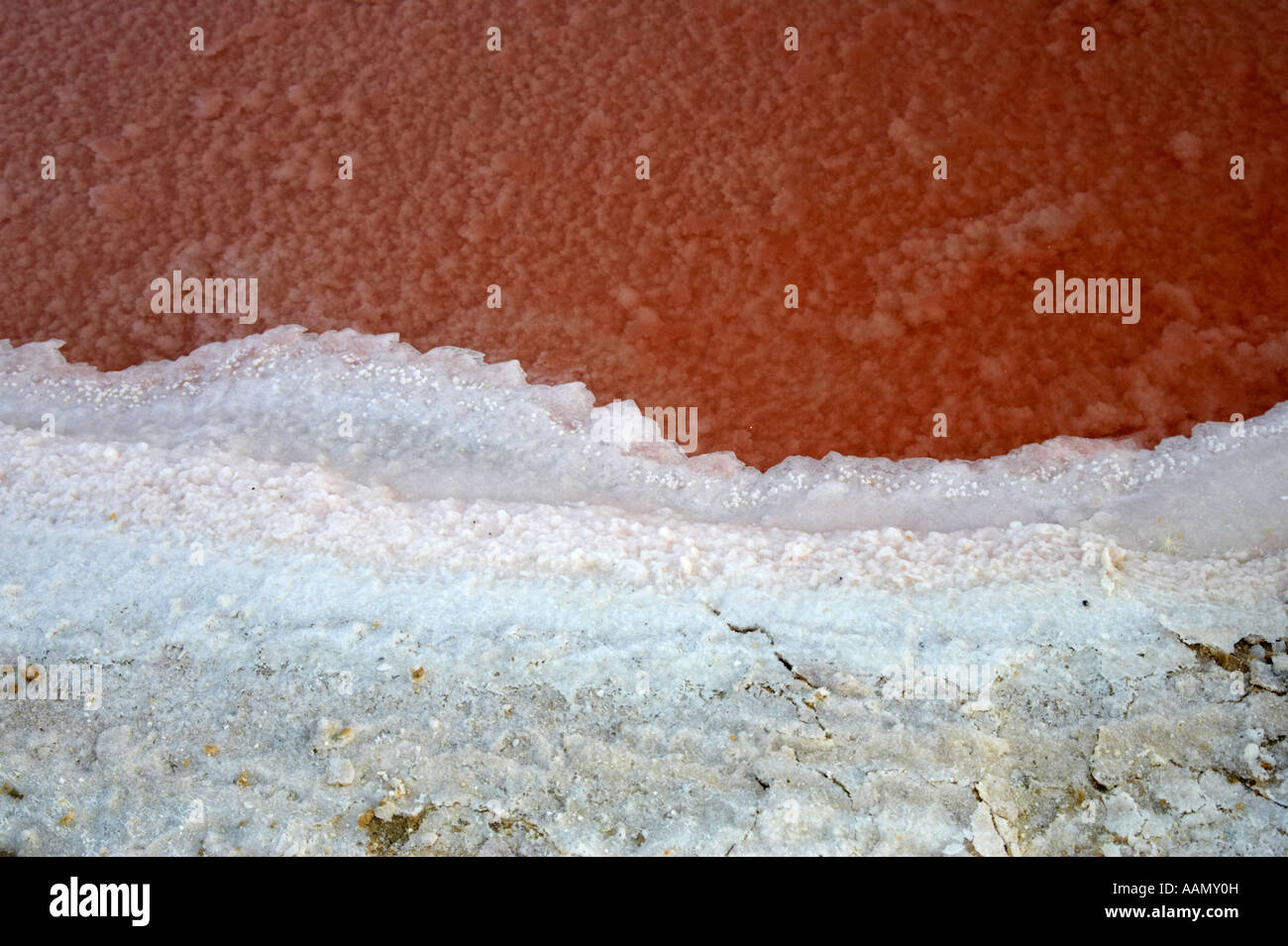 Crust of salt hi-res stock photography and images - Alamy