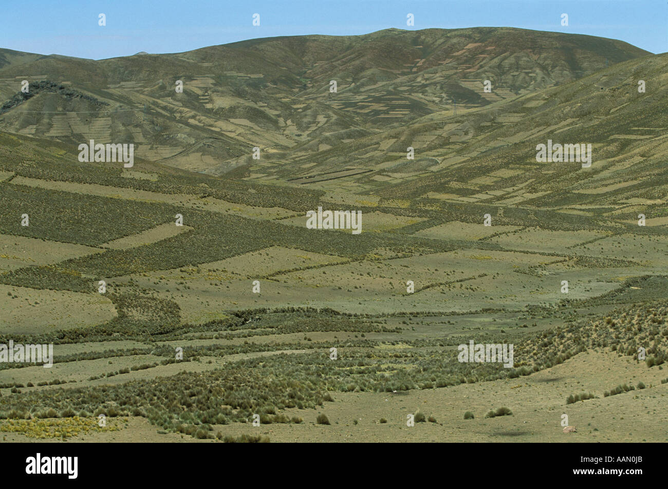 Agricultural fields in the lower hills of the Bolivian Andes in ...