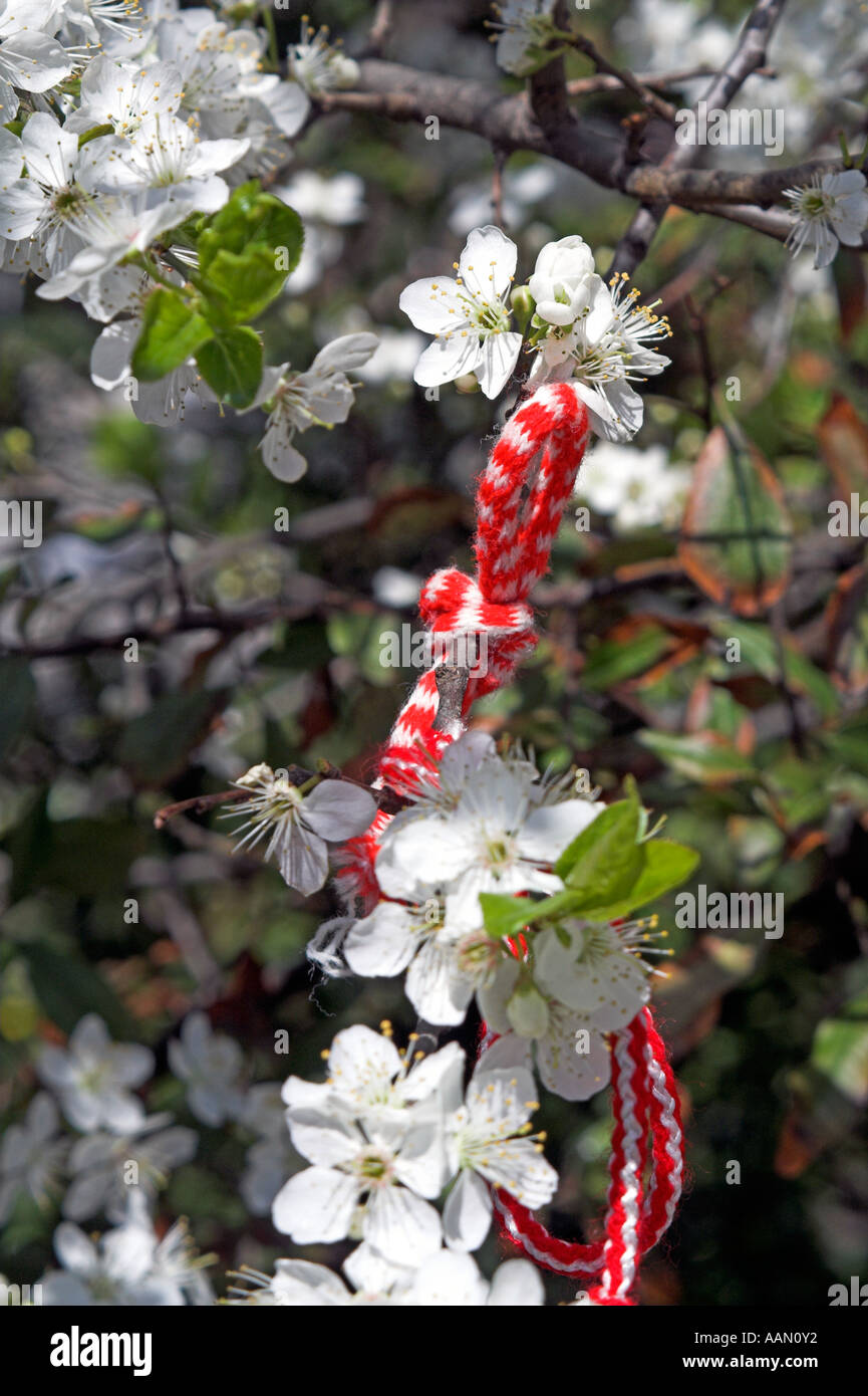 Martenitsa Among The Blossoms In Sofia The Capital Of Bulgaria Stock ...