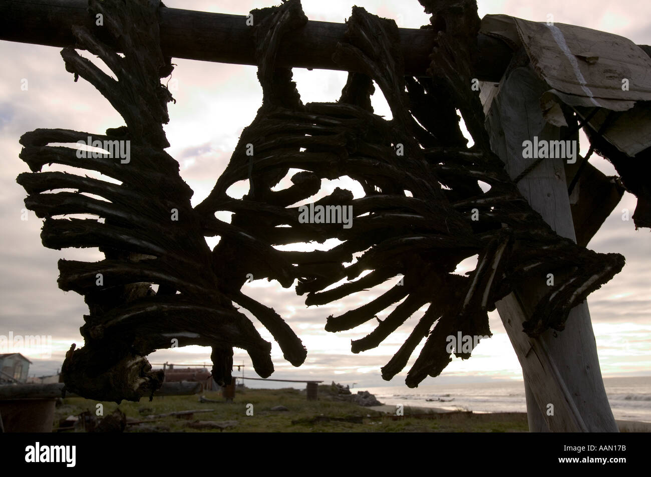 Inuit alaska hunting hi-res stock photography and images - Alamy