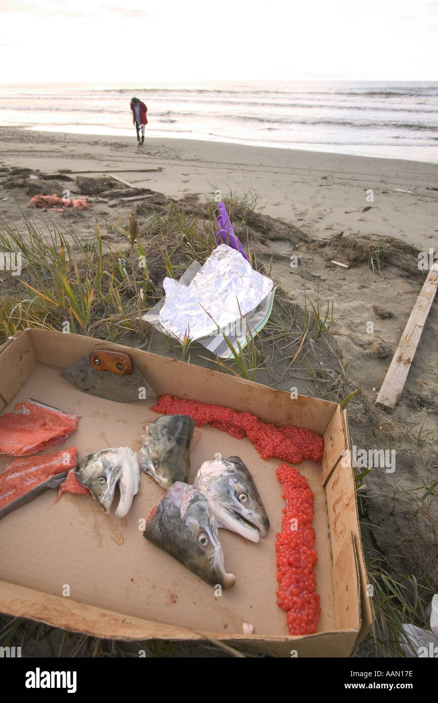 Eskimo lady on Shishmaref island alaska who has prepared a salmon and ...