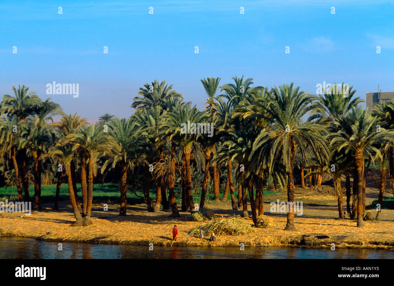 Nile Egypt Fishing on River Stock Photo - Alamy