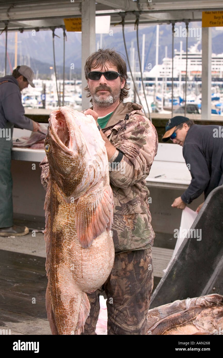 Ling cod hi-res stock photography and images - Alamy
