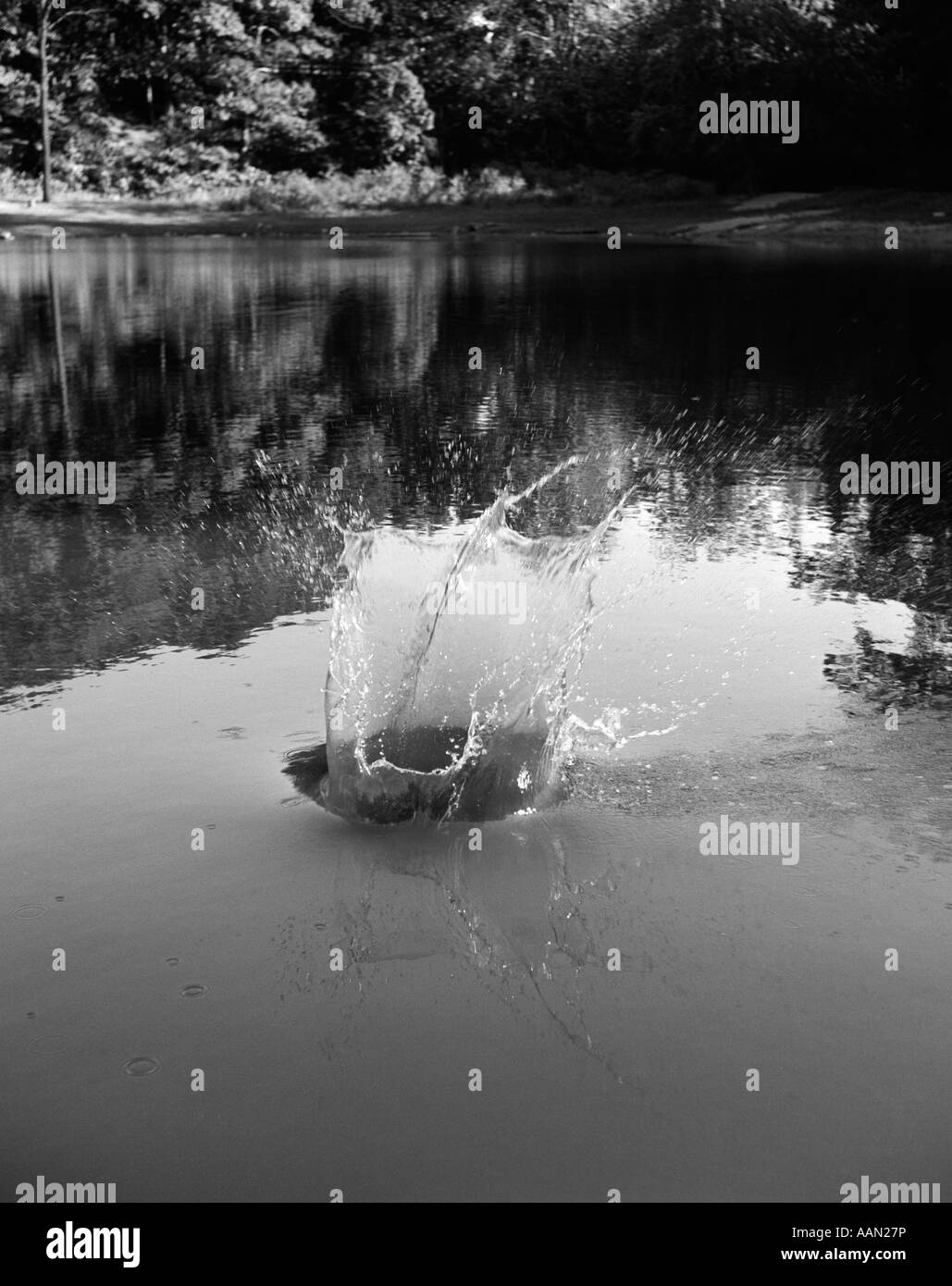 Disturbance Photography