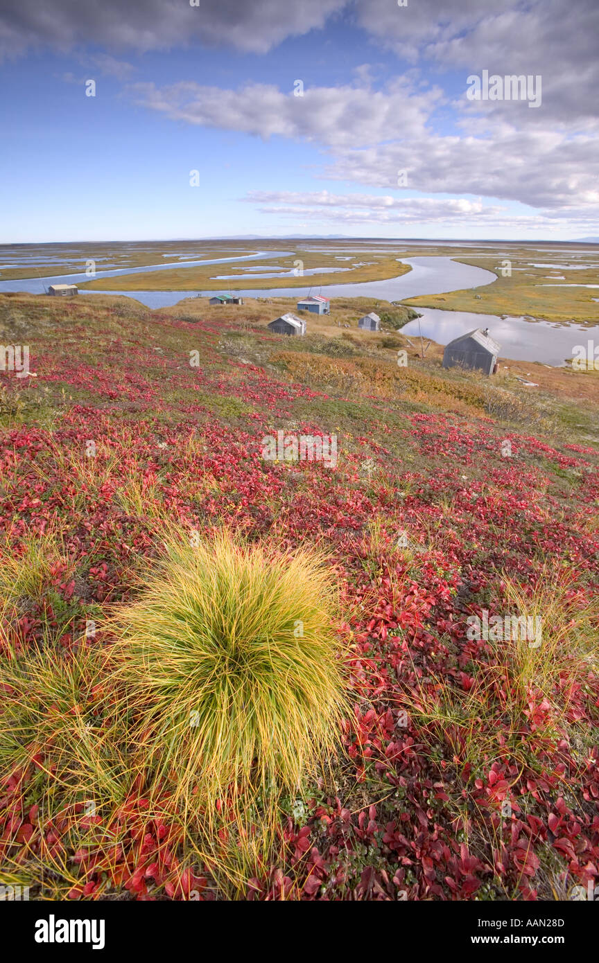 Eskimo hunting lodges at the mouth of the Serpentine river on the ...