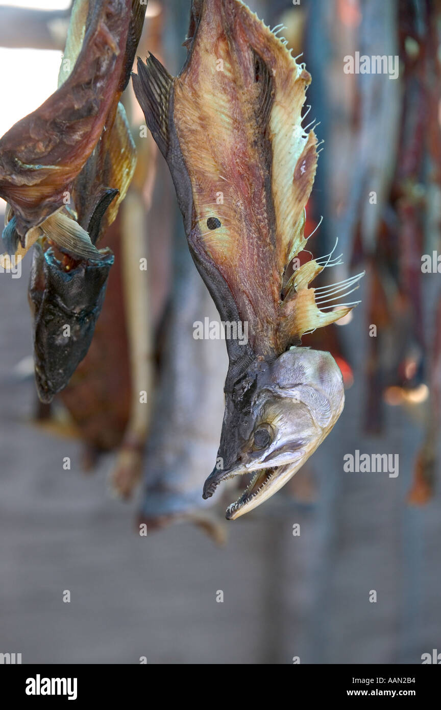 Inuit food alaska hi-res stock photography and images - Alamy