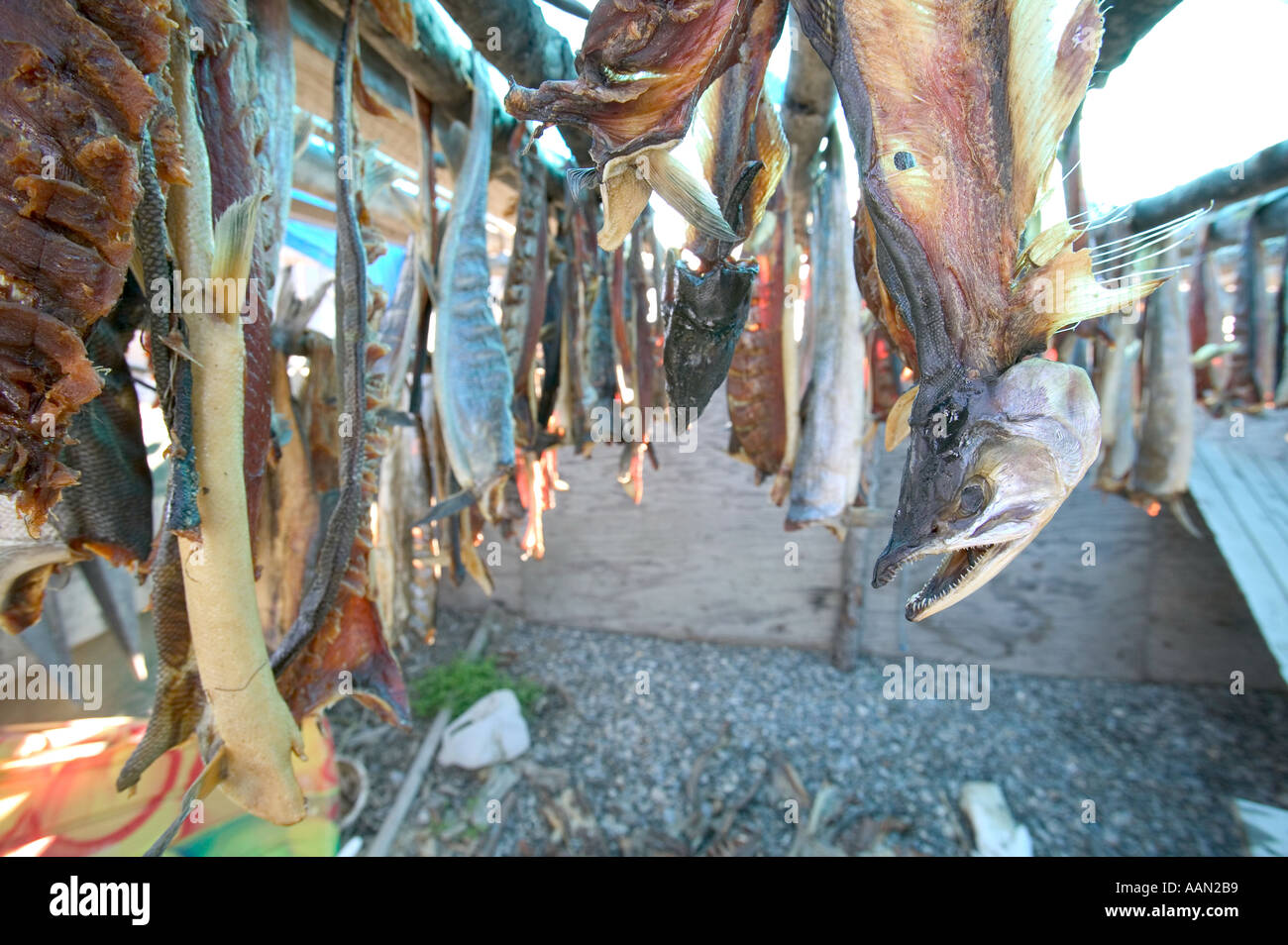 Inuit Alaska High Resolution Stock Photography and Images - Alamy