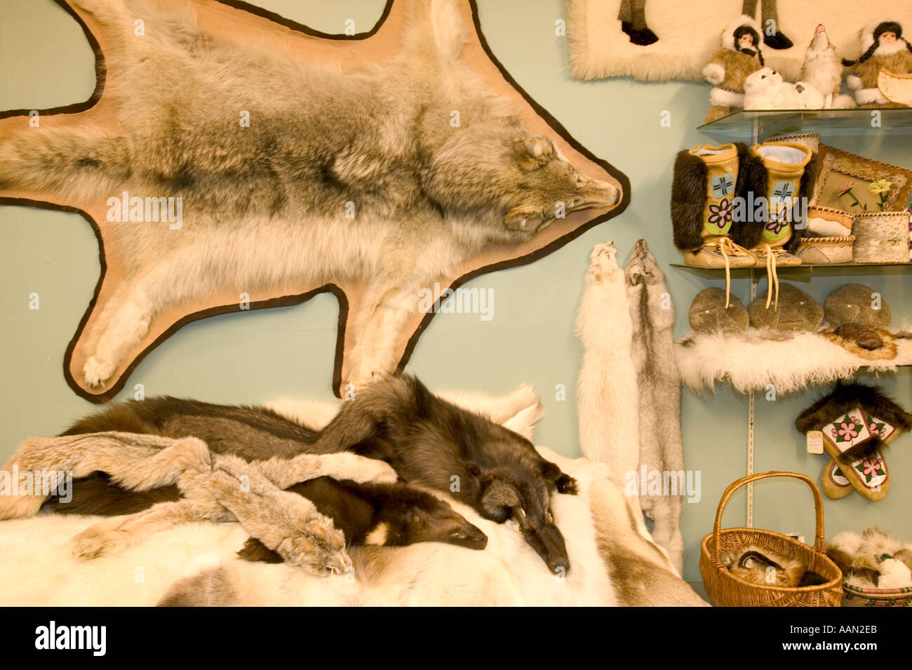 Wolf skins in a Fairbanks shop Stock Photo - Alamy