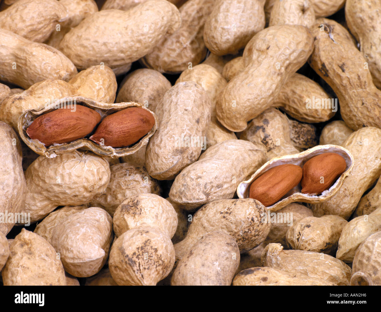 Peanuts in their Shells Stock Photo - Alamy
