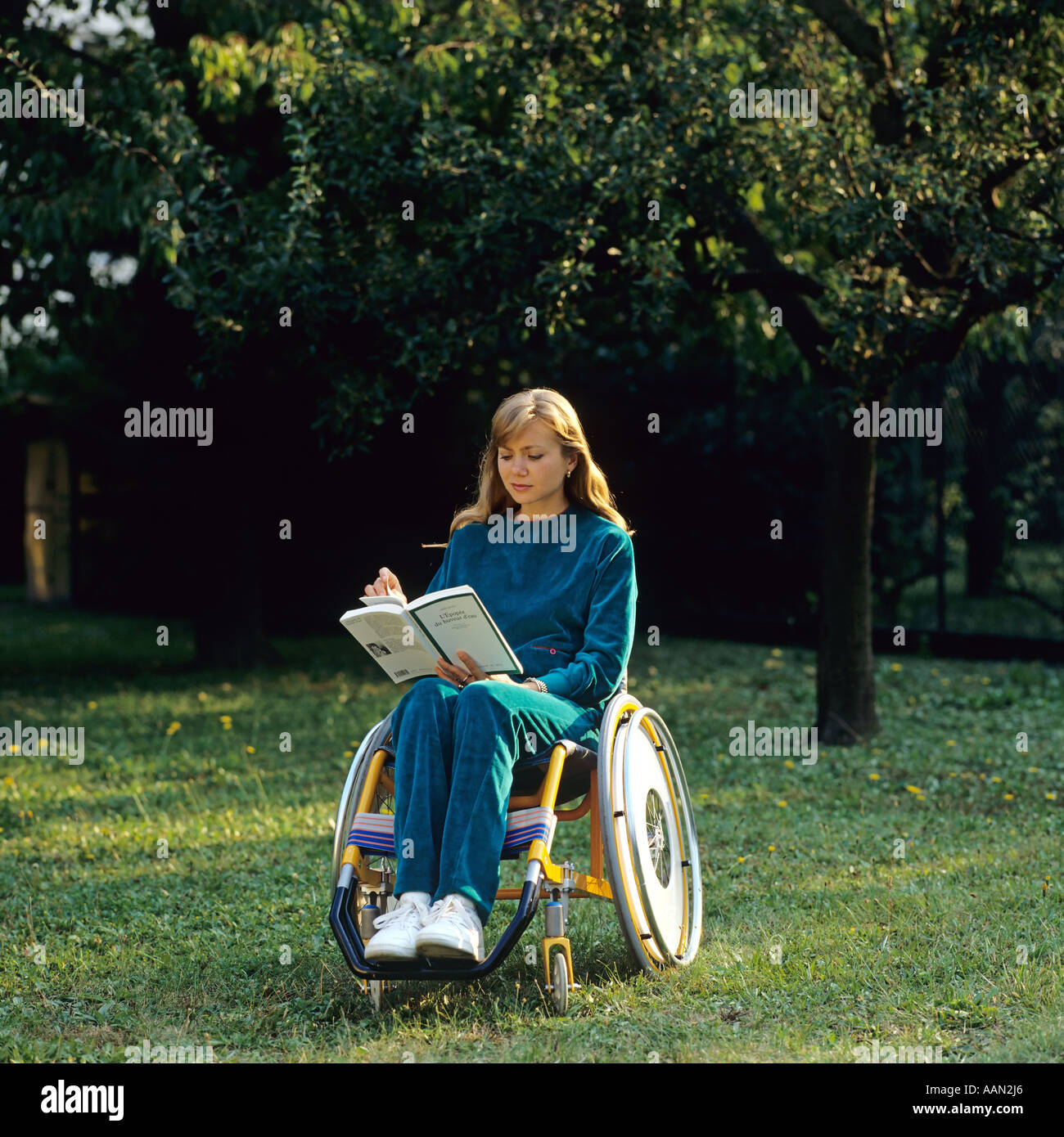Disabled woman in wheelchair reading a book in garden Stock Photo - Alamy