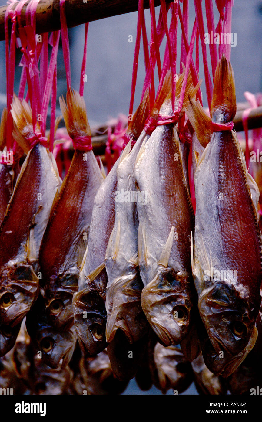 Wet market dried fish hi-res stock photography and images - Alamy