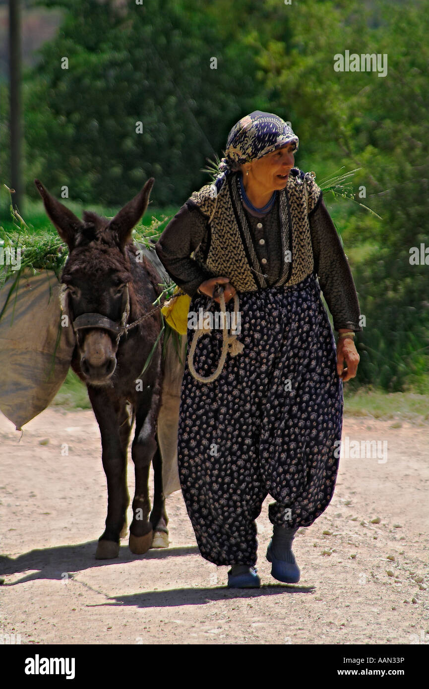 Turkish woman leading donkey on dusty road Stock Photo - Alamy