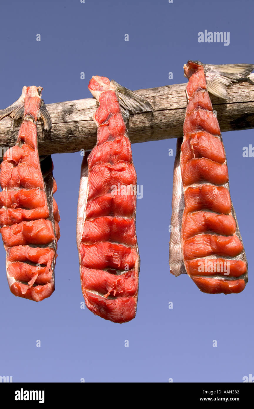 Food supply on racks hi-res stock photography and images - Alamy