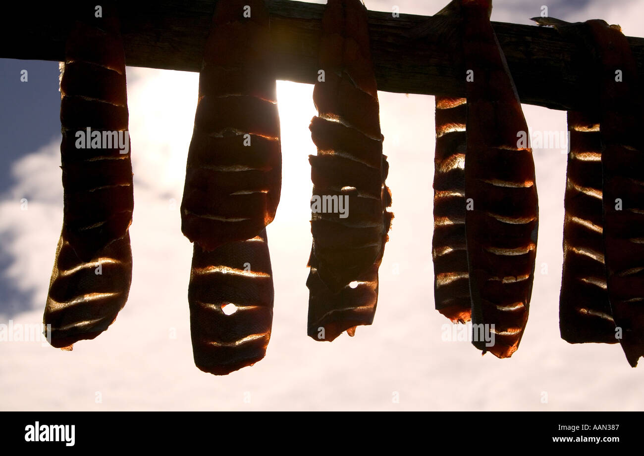 Eskimo drying racks on shishmaref hi-res stock photography and images ...