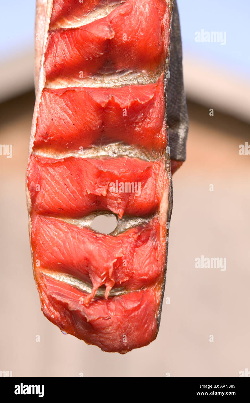 Salmon dying on rack on the Island Eskimo community of shishmaref ...