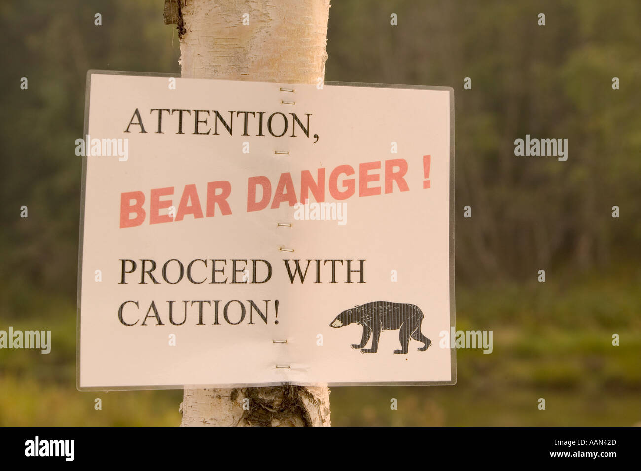 Beware of the bear signs at Chena hot springs alaska Stock Photo - Alamy