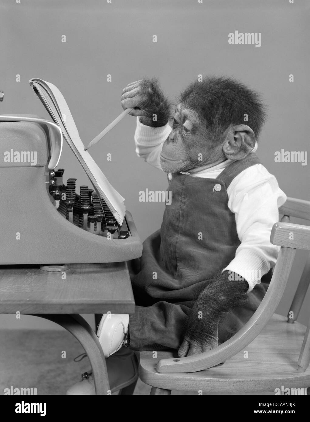 Chimp Typewriter