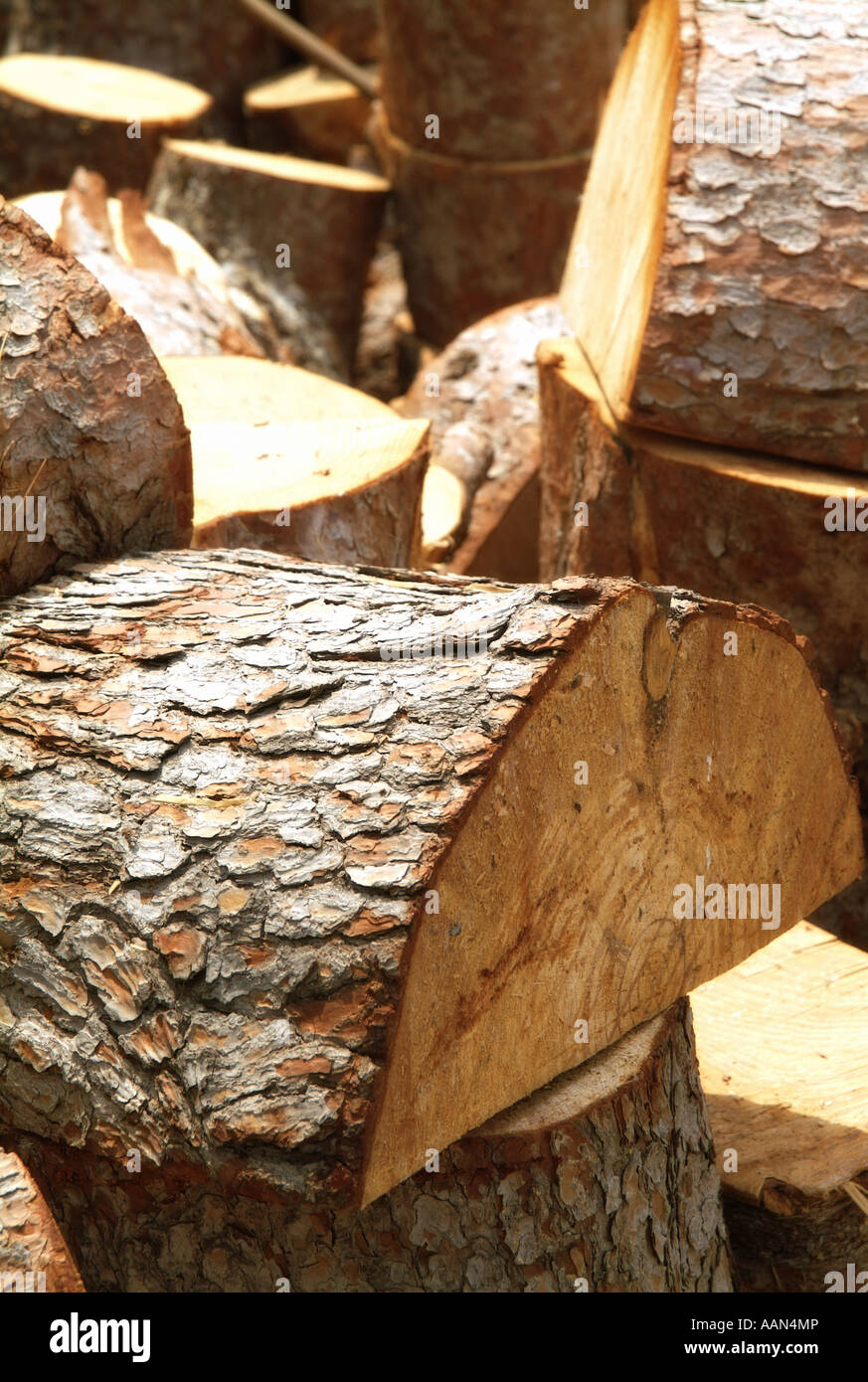 Cutted pinetree trunks Stock Photo - Alamy