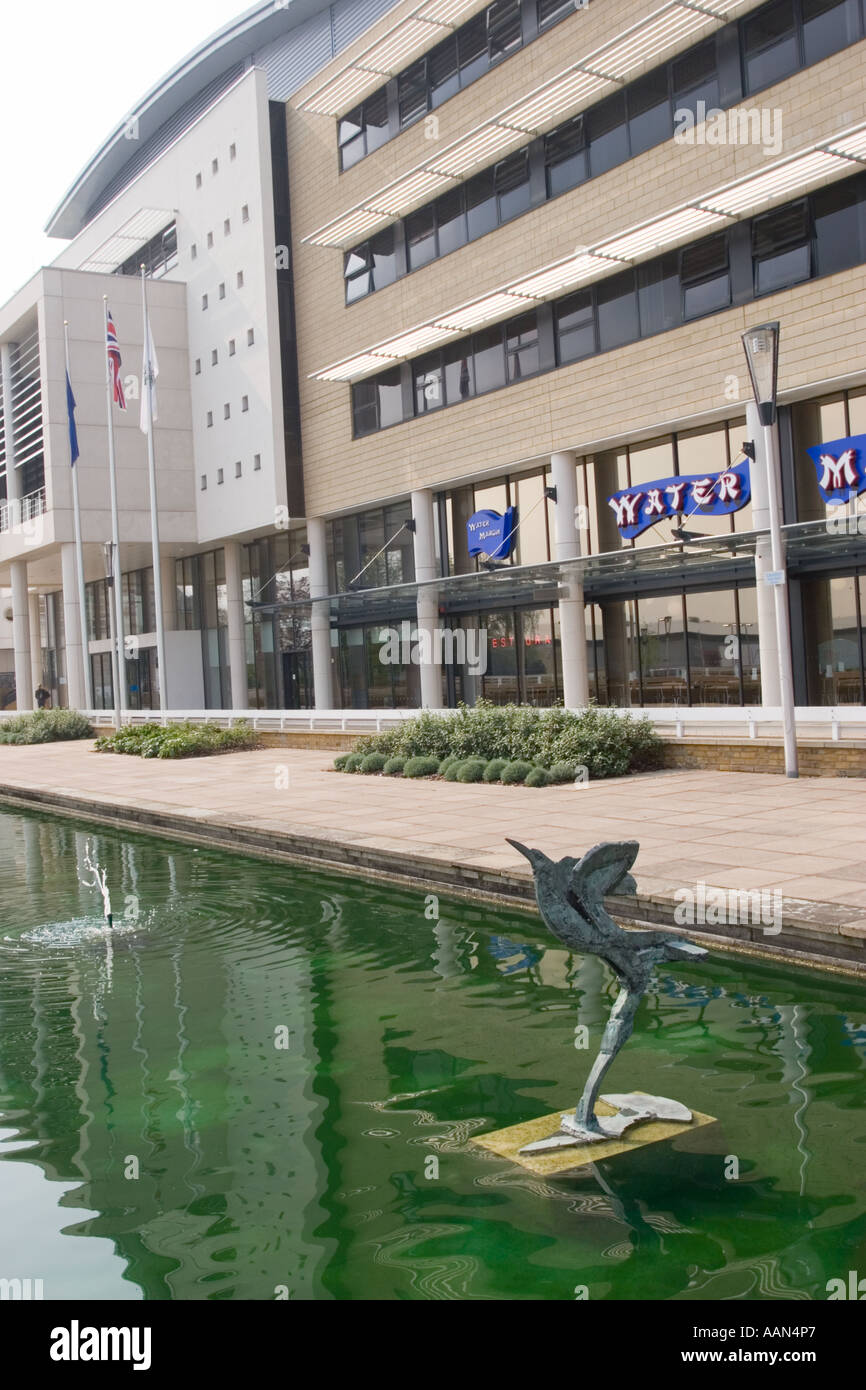 "Bird" bronze statue by Hebe Comerford 1985 in Water Gardens and Harlow ...