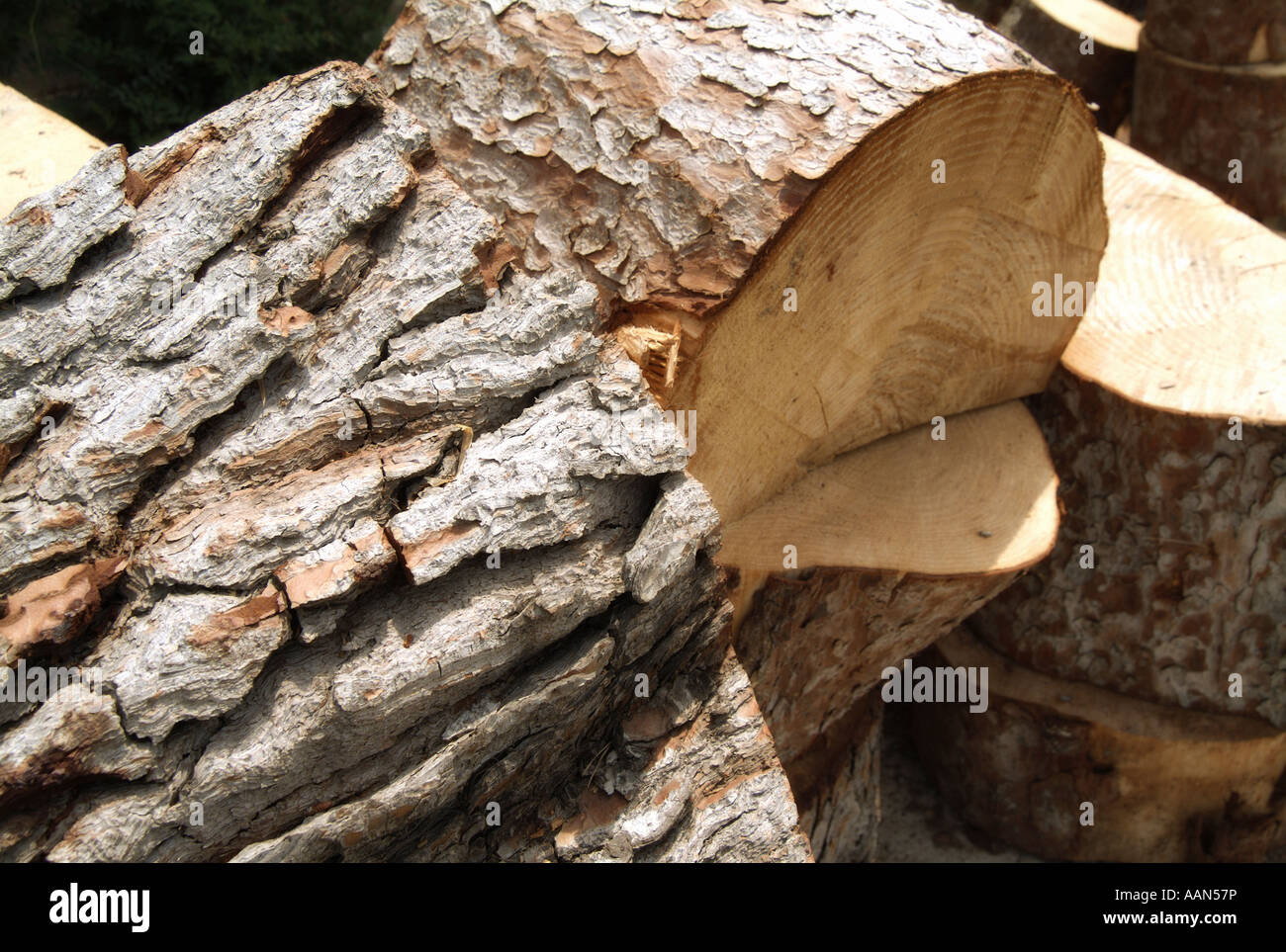 Muckle spate hi-res stock photography and images - Alamy