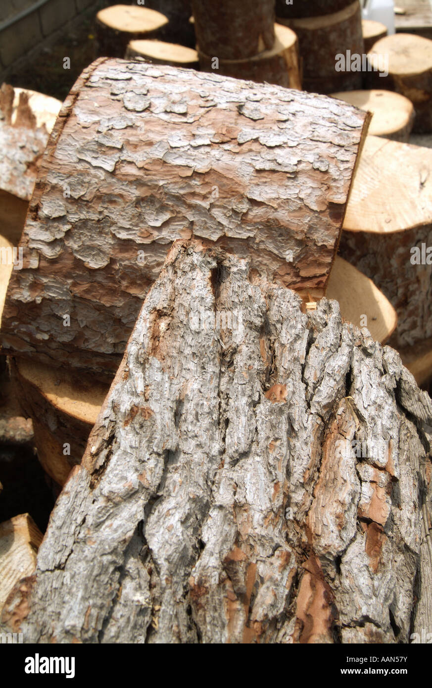Cutted pinetree trunks Stock Photo - Alamy