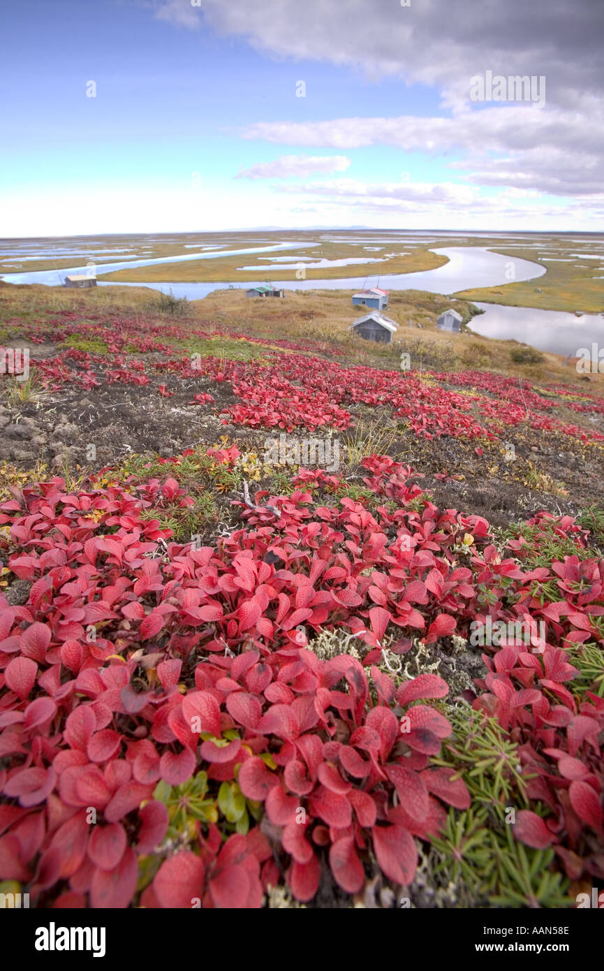 Eskimo hunting camp on the shores of the Serpentine river with Arctic ...