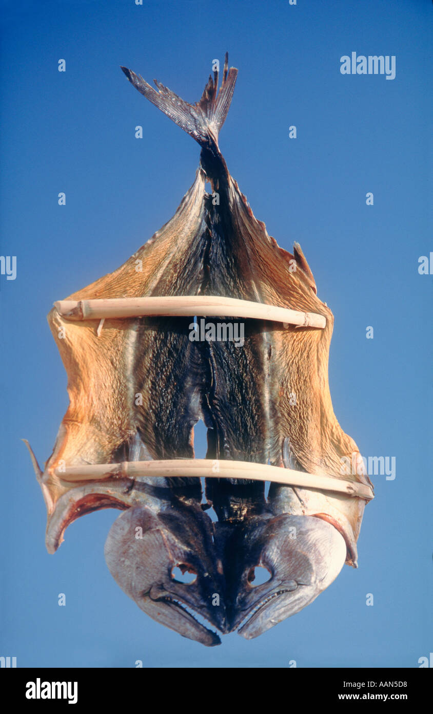 Scaley fish hi-res stock photography and images - Alamy