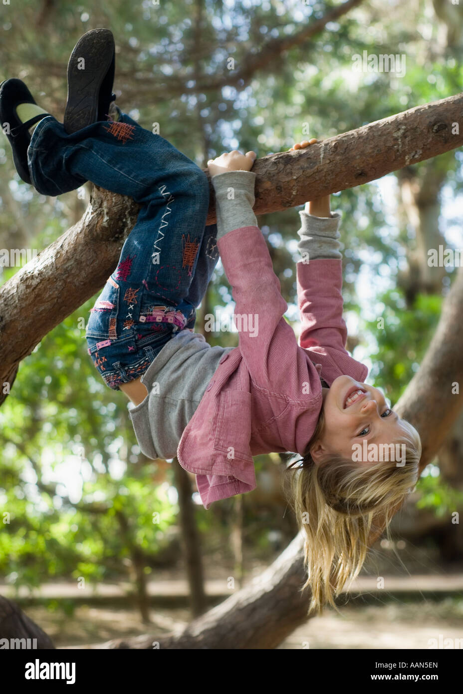 Young girl playing on a tree Stock Photo - Alamy
