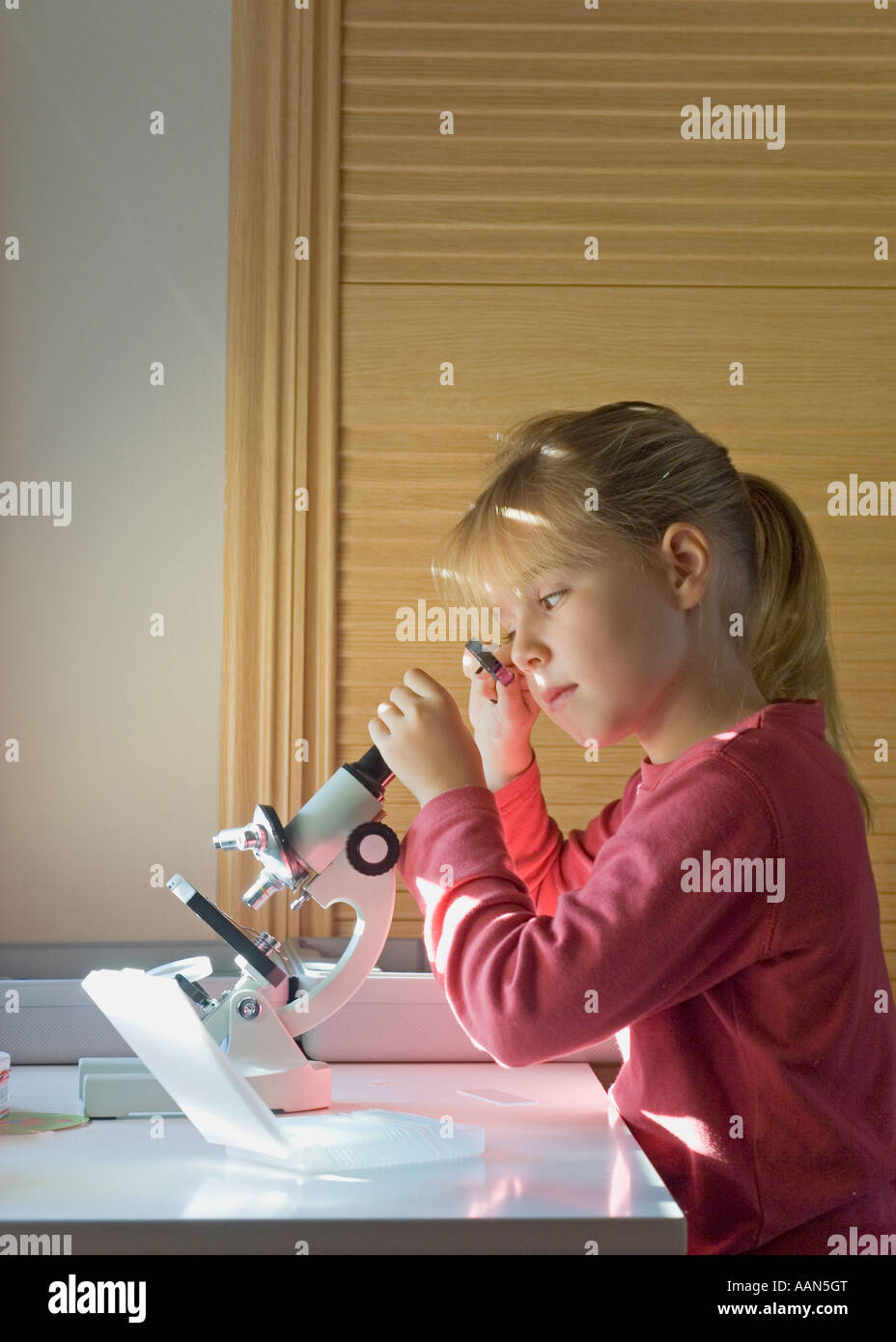 Young girl investigating Stock Photo - Alamy