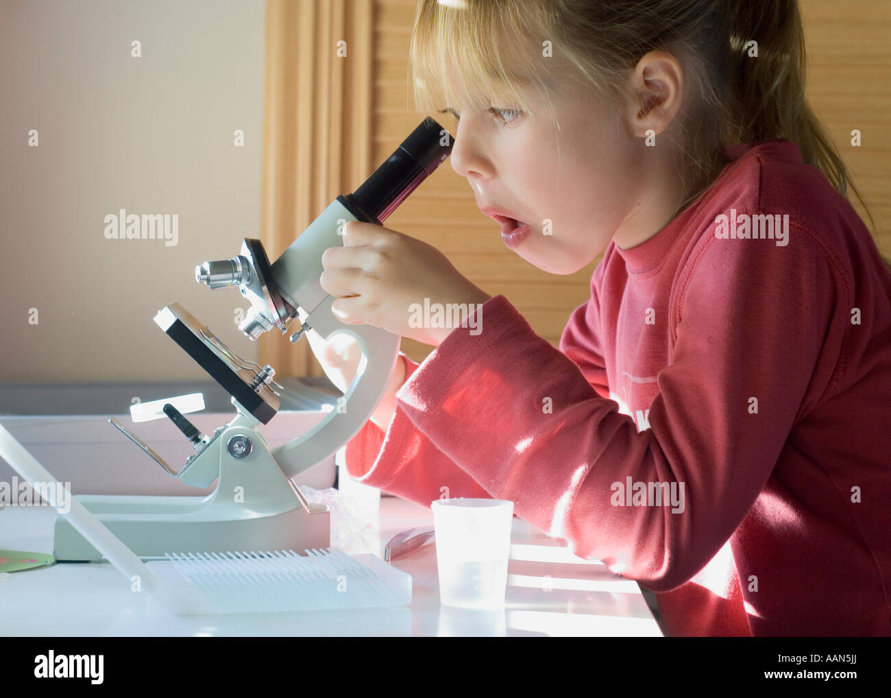 Young girl investigating with a microscope Stock Photo - Alamy