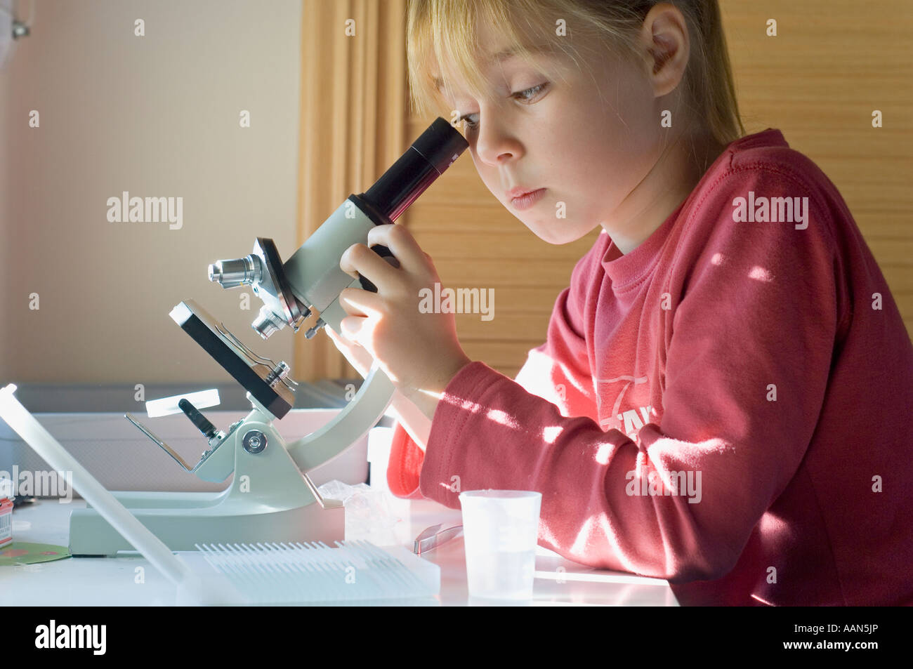Young girl investigating Stock Photo - Alamy