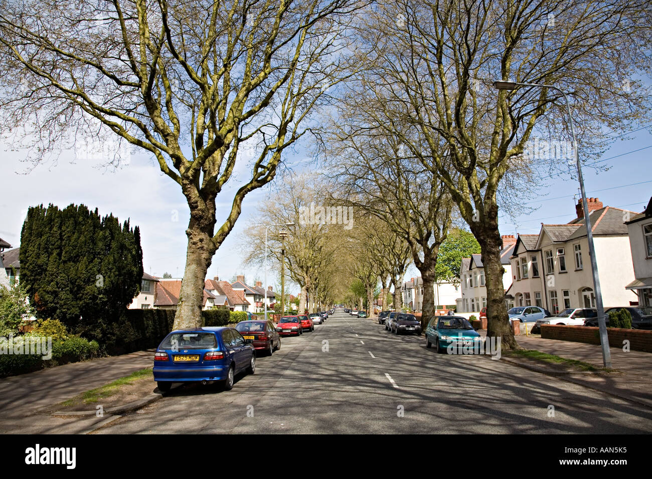 Empty suburban road with cars parked on each side in a 30 mph zone ...
