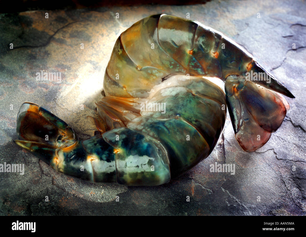 Large multicolored King Prawns on a colored slate Stock Photo - Alamy
