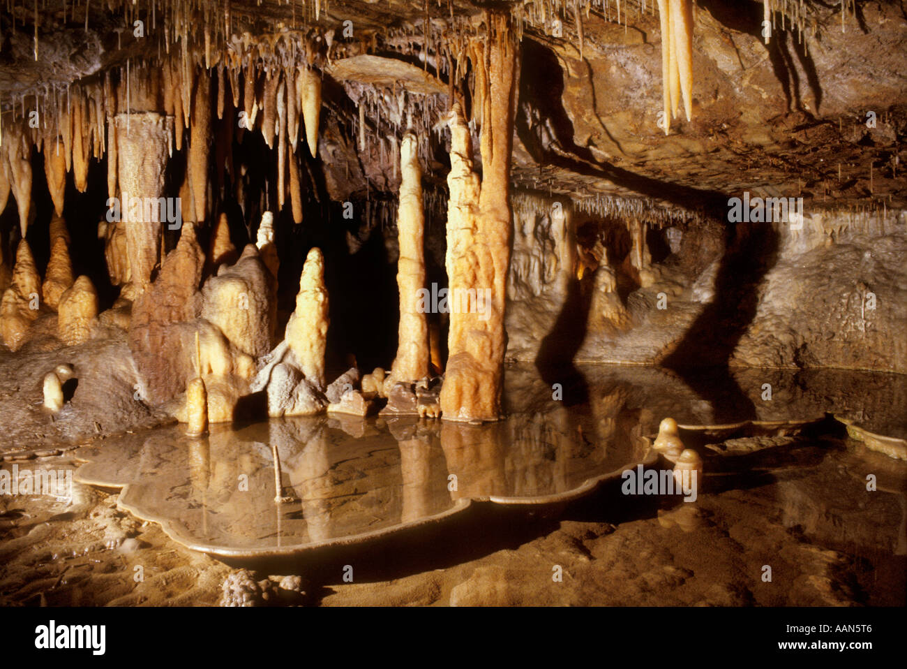 Speleothem formations royal cave hi-res stock photography and images ...