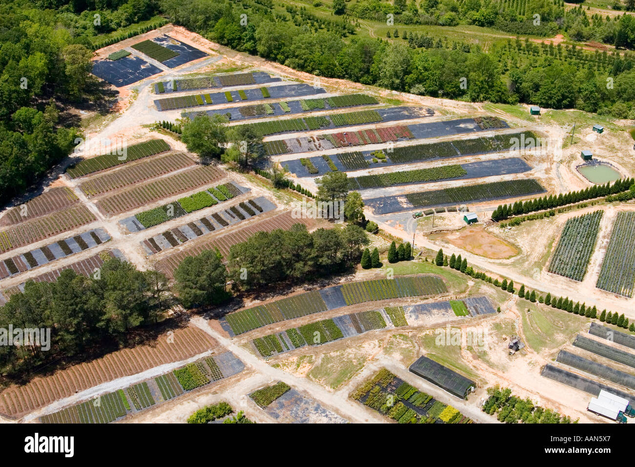 Aerial view of a plant nursery Stock Photo - Alamy