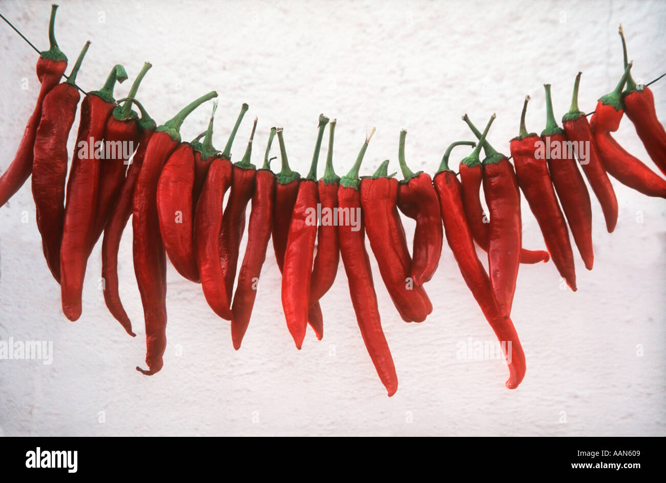 string of red peppers hung up to dry in the sun Stock Photo - Alamy