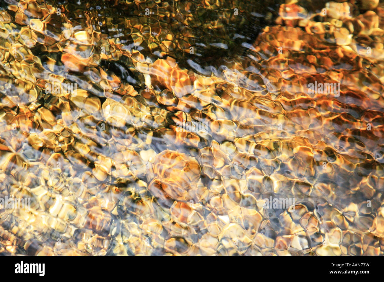 Distortion through water hi-res stock photography and images - Alamy