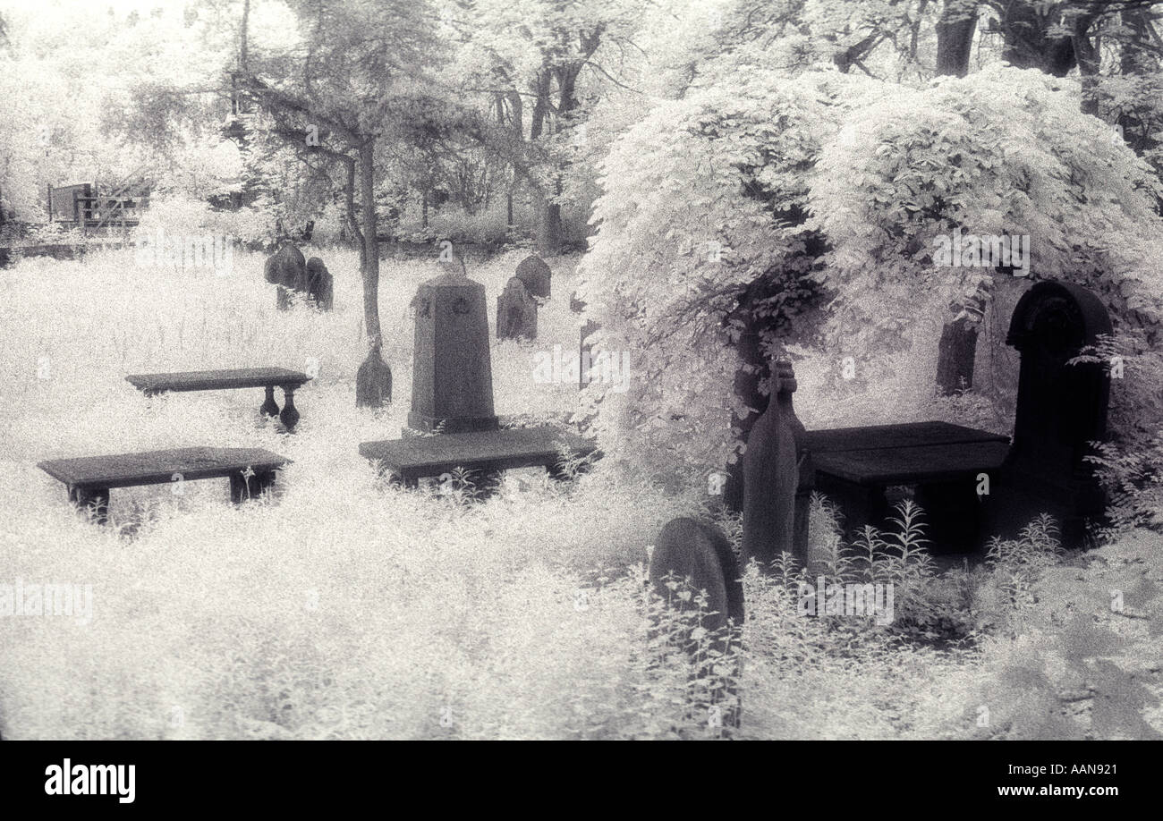 grave cemetary gravestones tomb vault graveyard spooky infrared spooky ...
