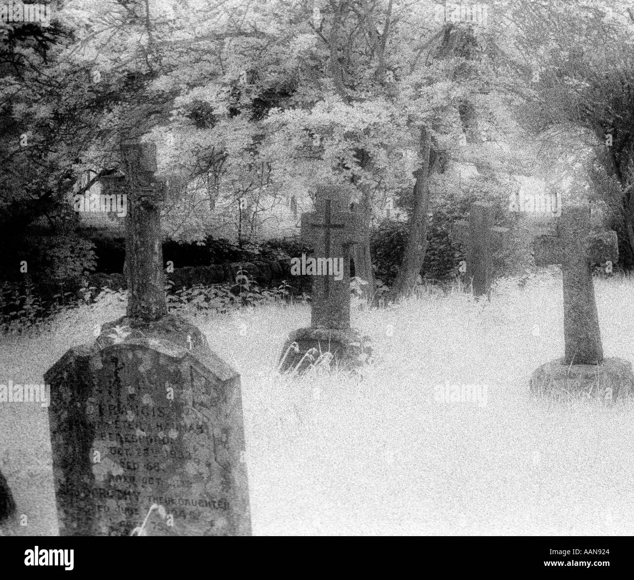 grave cemetary tomb vault graveyard spooky scary moody overgrown grave ...