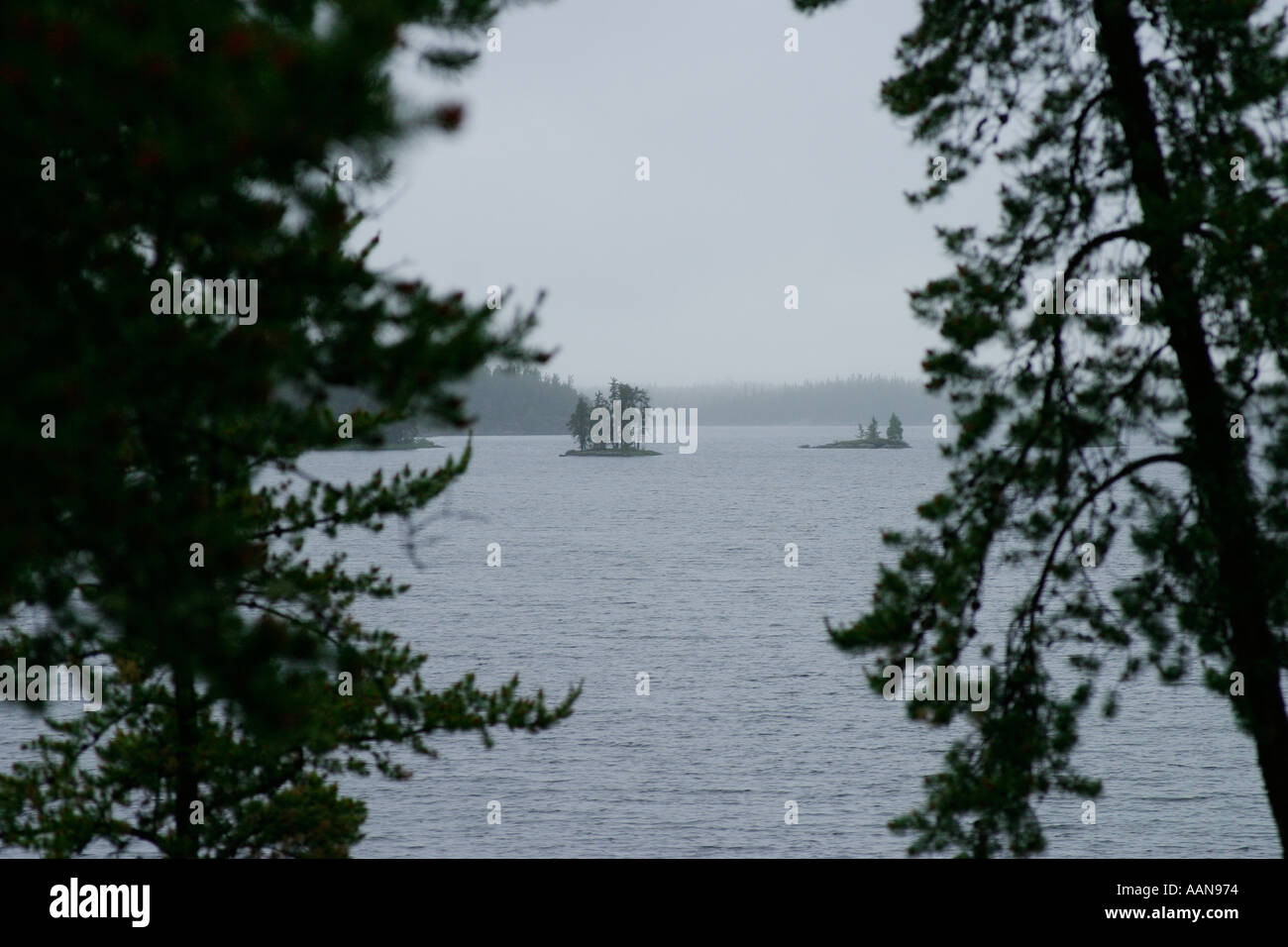 Lake Through Trees Stock Photo - Alamy