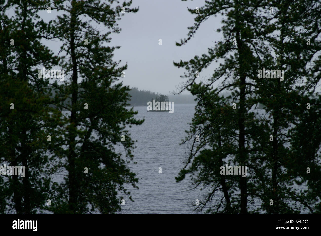 Lake Through Trees Stock Photo - Alamy